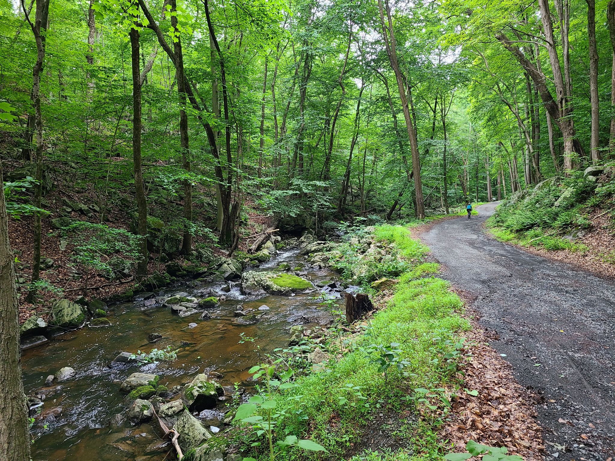 Natirar Park – Gravel NY