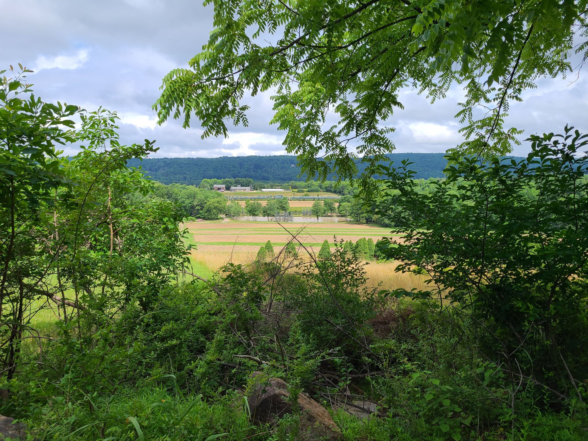 Natirar Park – Gravel NY