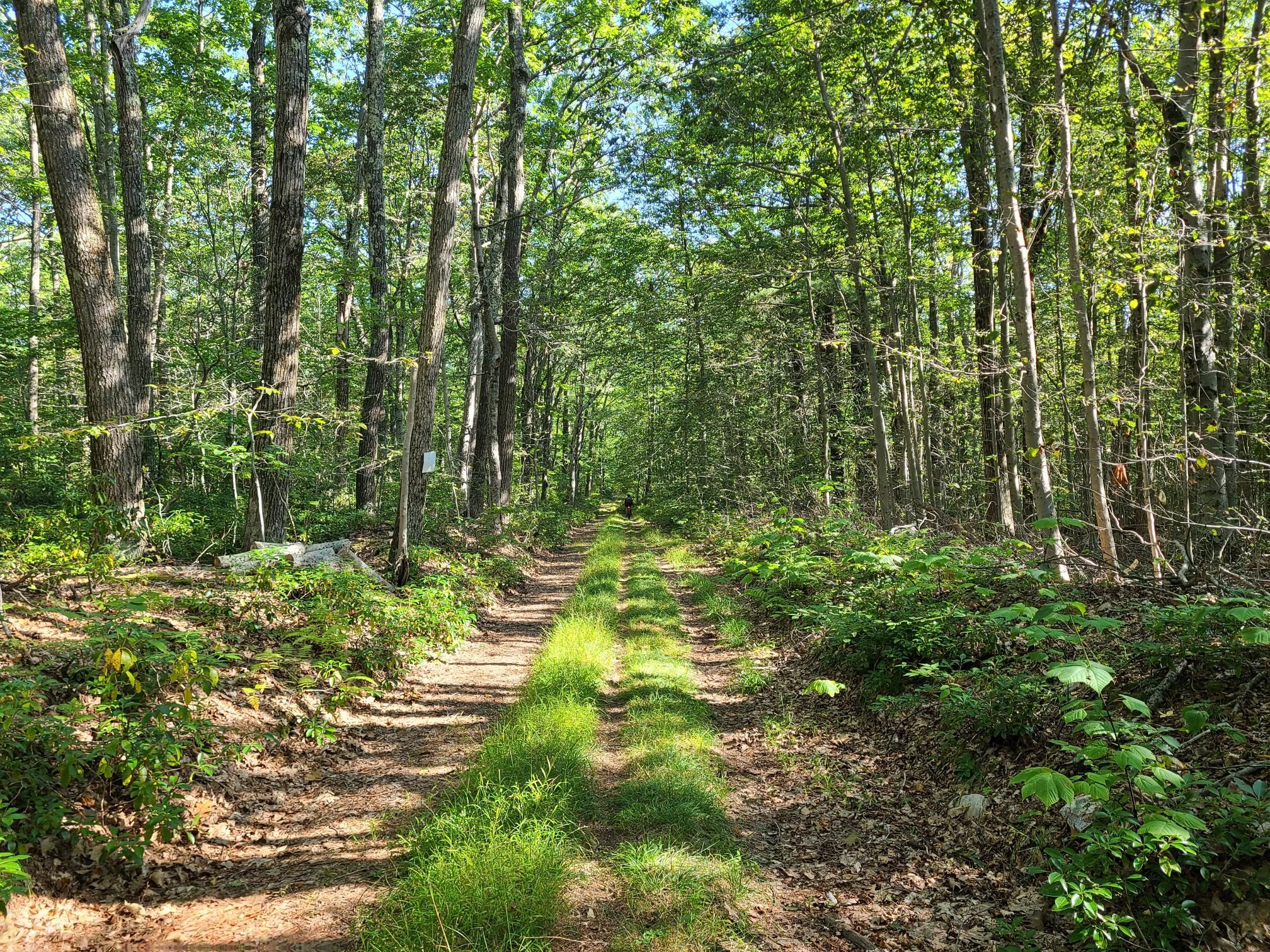 Gravel NY – For cyclists who want to ride gravel in the NY Metro area.