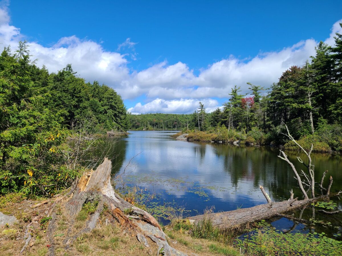 Gravel NY – For cyclists who want to ride gravel in the NY Metro area.